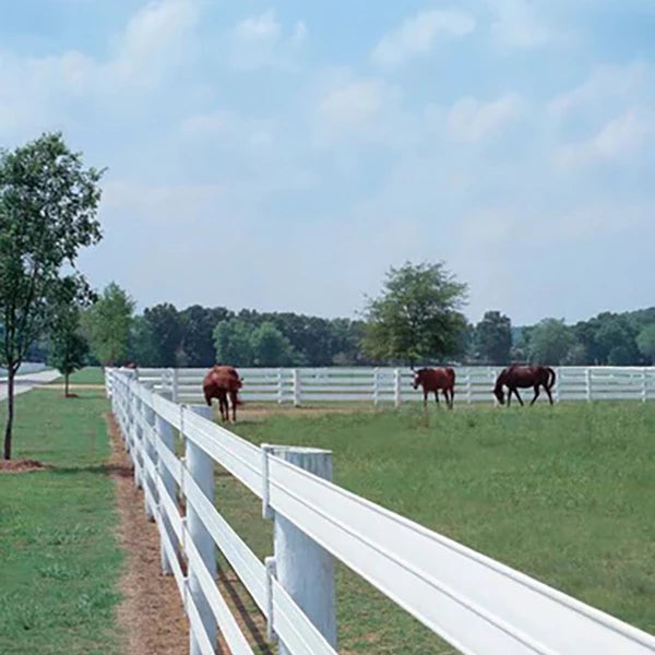Centaur – Strohfus Stock Farm